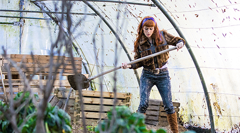 Samedi 24 janvier 16:45 - HPI - Phyllobates terribilis | TV Breizh